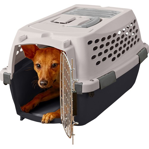 PETMATE Vari Portable Dog & Cat Kennel, Pearl Pink/Black, 19-in, up to ...