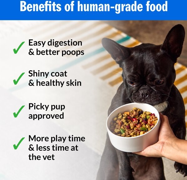 PETPLATE Human Grade Power Packed Pork Entree Fresh Dog Food, 12-oz cup, case of 24 - Chewy.com