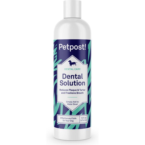 VETOQUINOL Dentahex Dog & Cat Dental Rinse, 8-fl oz bottle - Chewy.com