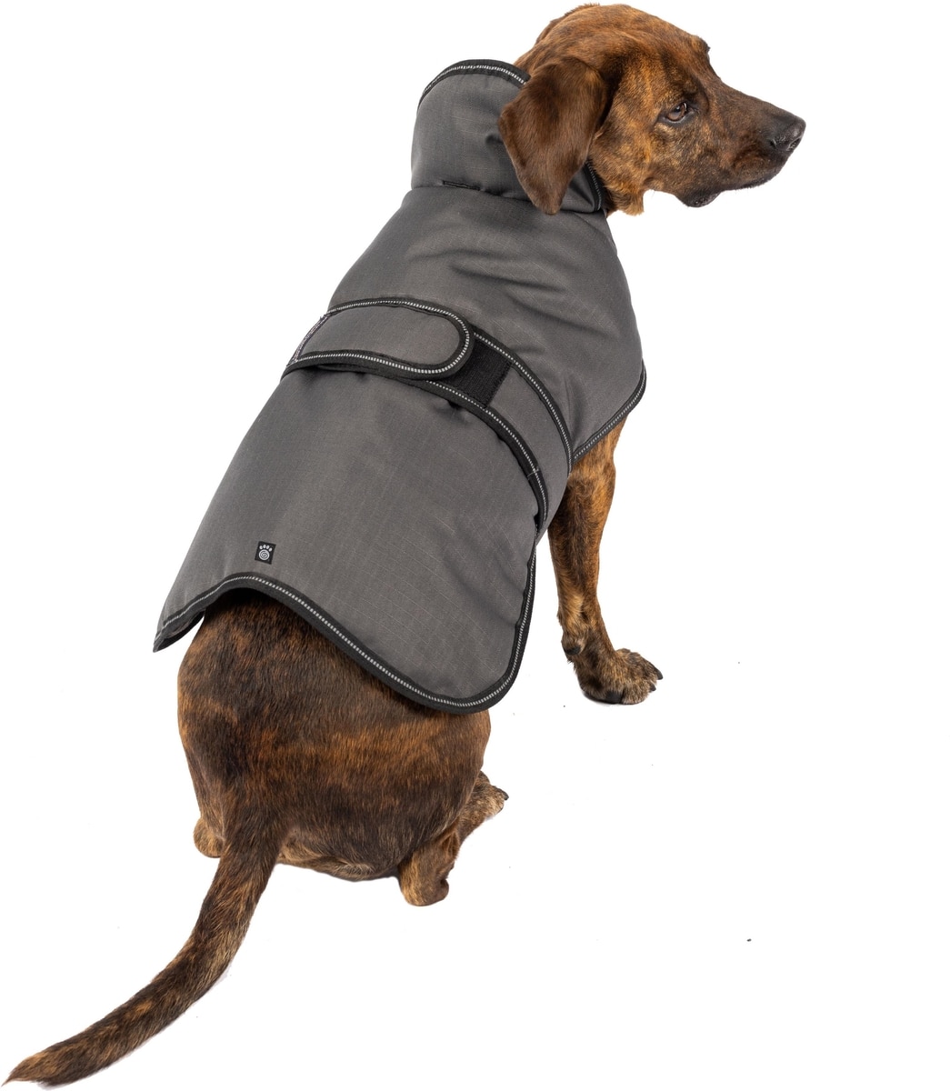 PETRAGEOUS DESIGNS Juneau Insulated Dog Jacket, Gray, Medium - Chewy.com