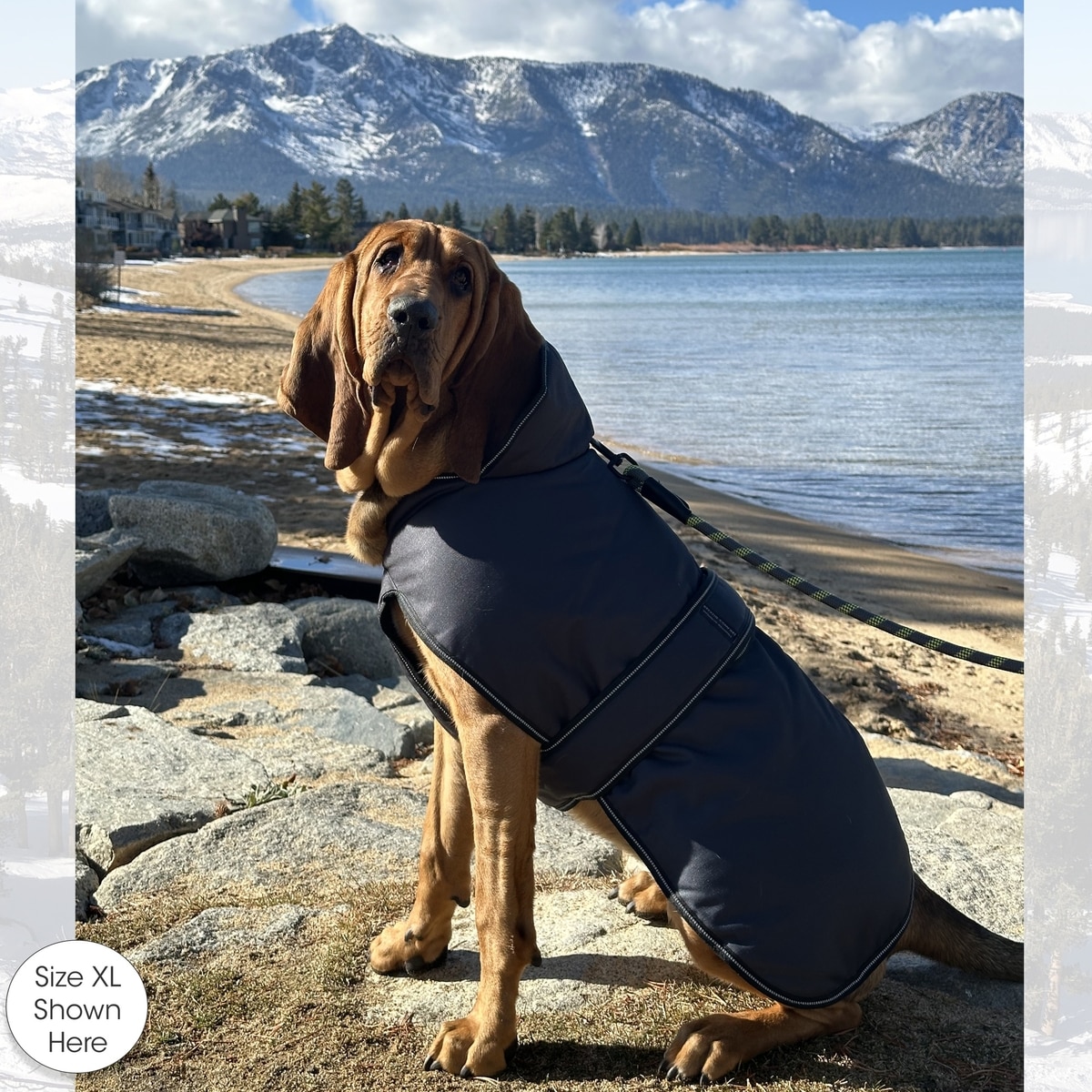 PETRAGEOUS DESIGNS Juneau Insulated Dog Jacket, Gray, Medium - Chewy.com