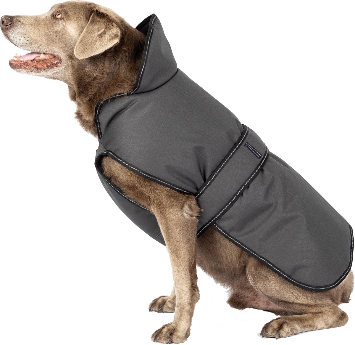 PETRAGEOUS DESIGNS Juneau Insulated Dog Jacket, Gray, XX-Large - Chewy.com