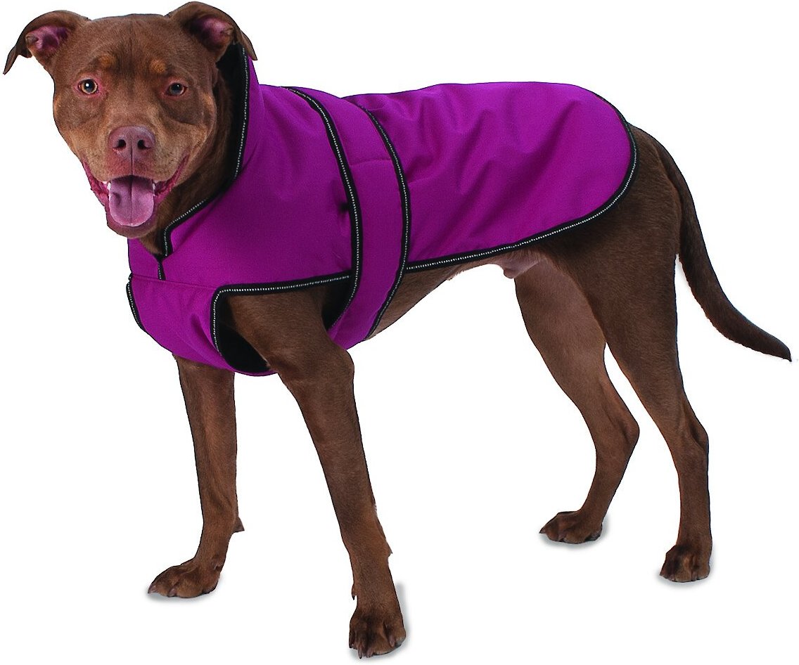 PETRAGEOUS DESIGNS Juneau Insulated Dog Jacket, Magenta, Large - Chewy.com