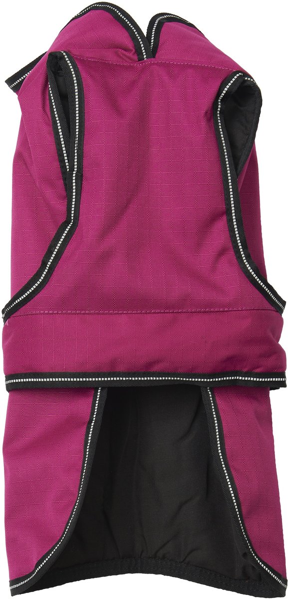 PETRAGEOUS DESIGNS Juneau Insulated Dog Jacket, Magenta, Medium - Chewy.com