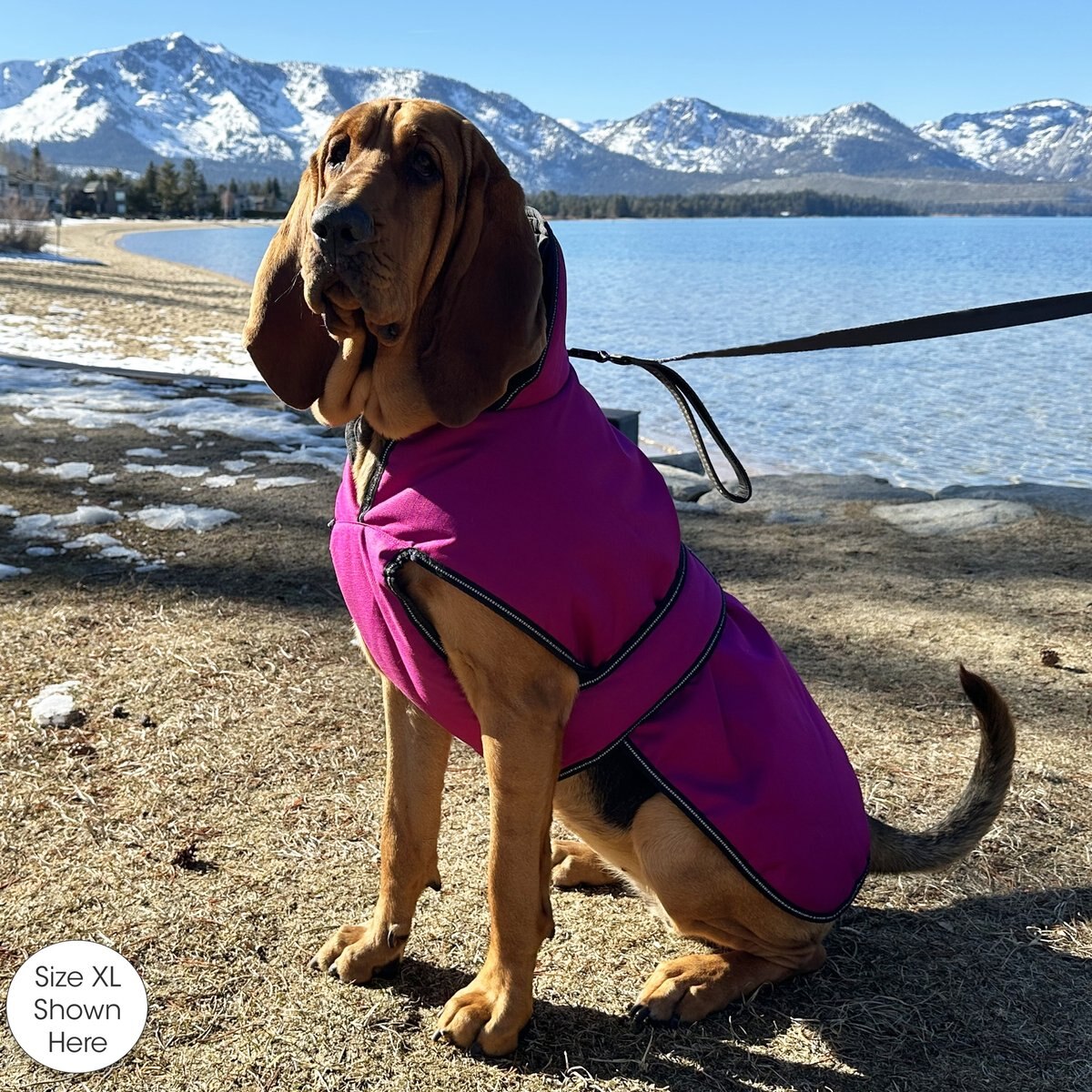 PETRAGEOUS DESIGNS Juneau Insulated Dog Jacket, Magenta, Medium - Chewy.com