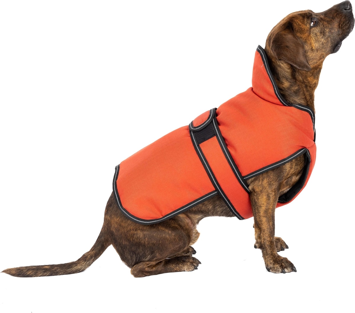 PETRAGEOUS DESIGNS Juneau Insulated Dog Jacket, Red, Medium - Chewy.com