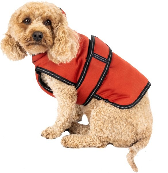 PETRAGEOUS DESIGNS Juneau Insulated Dog Jacket, Red, Small - Chewy.com