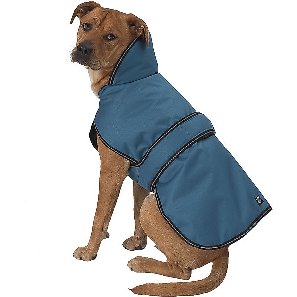 Out of Stock - PETRAGEOUS DESIGNS Juneau Insulated Dog Jacket, Teal, X ...