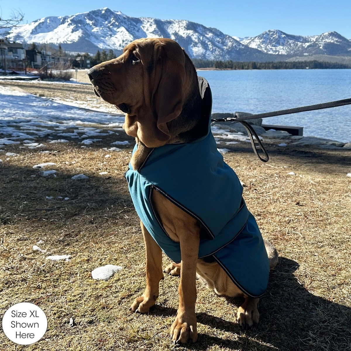 PETRAGEOUS DESIGNS Juneau Insulated Dog Jacket, Teal, X-Large - Chewy.com