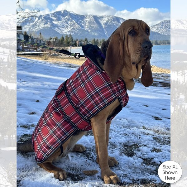 PETRAGEOUS DESIGNS Kodiak Insulated Dog Coat, Red Plaid, Large - Chewy.com