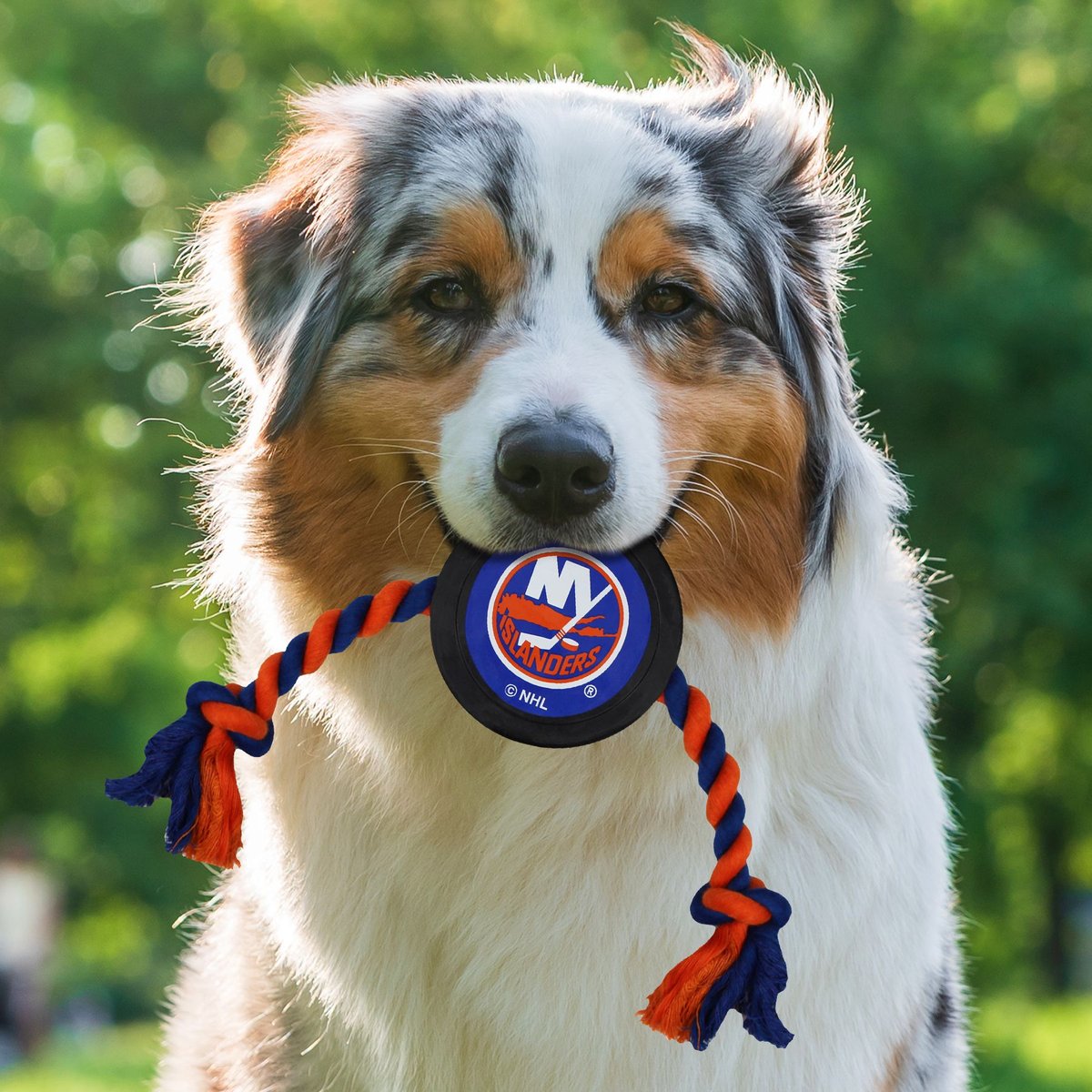 Temporarily Unavailable - PETS FIRST Hockey Puck Tough Squeaky Dog Chew ...