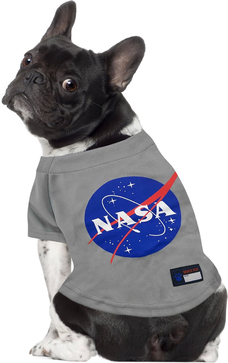 PETS FIRST Nasa Nasa Logo Dog & Cat Jersey, Medium - Chewy.com