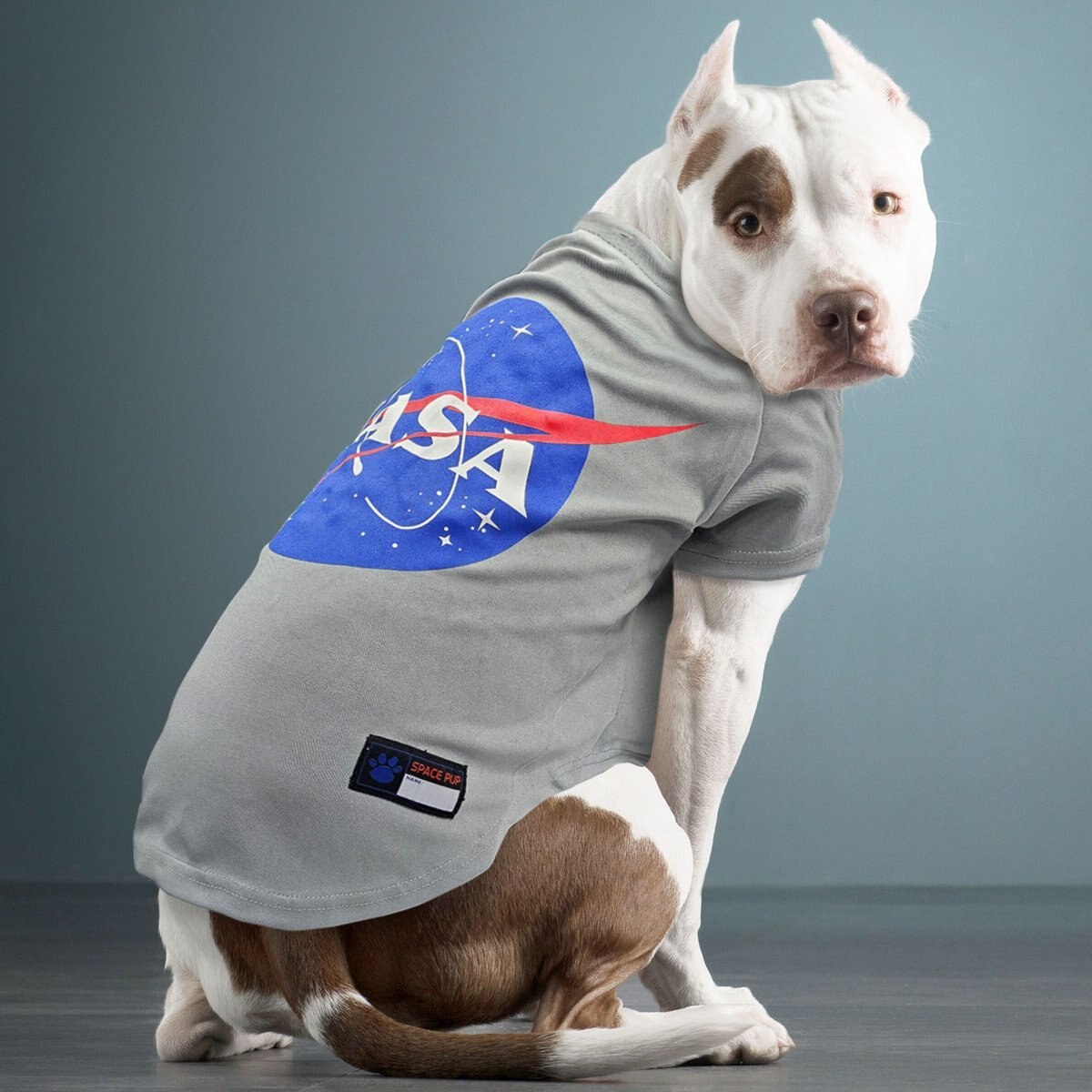 PETS FIRST Nasa Nasa Logo Dog & Cat Jersey, Medium - Chewy.com