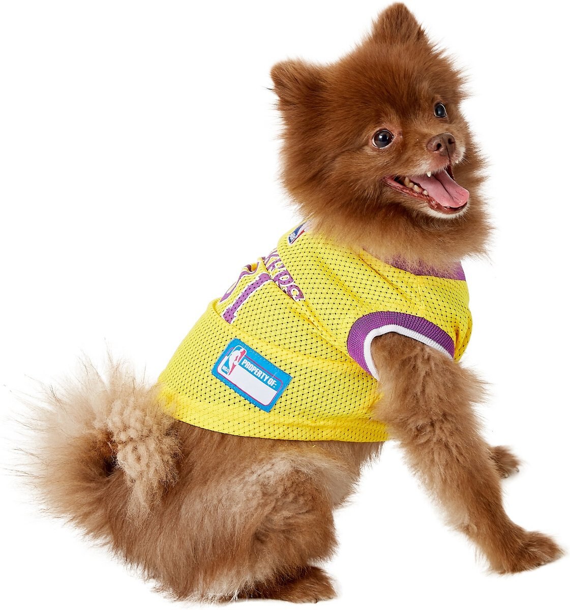 PETS FIRST NBA Dog & Cat Mesh Jersey, Los Angeles Lakers, Small - Chewy.com