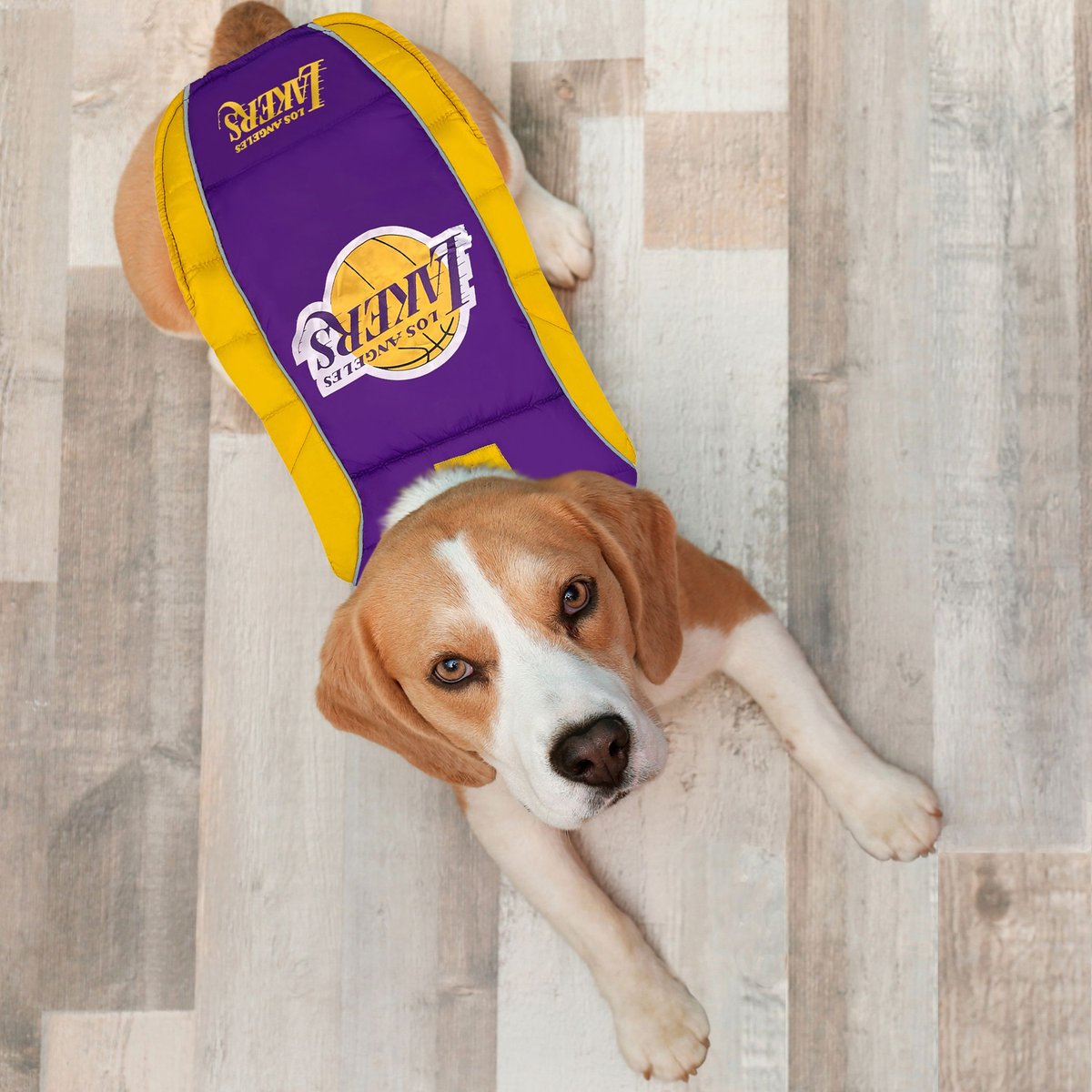 PETS FIRST NBA La Lakers Dog & Cat Puffer Vest, Small - Chewy.com