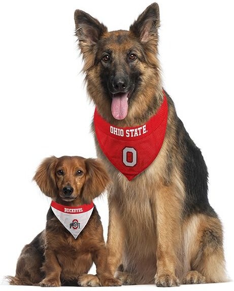 PETS FIRST NCAA Reversible Dog & Cat Bandana, Ohio State Buckeyes ...