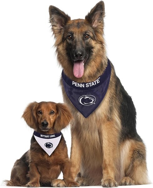 PETS FIRST NCAA Reversible Dog & Cat Bandana, Penn State, Large/X-Large ...