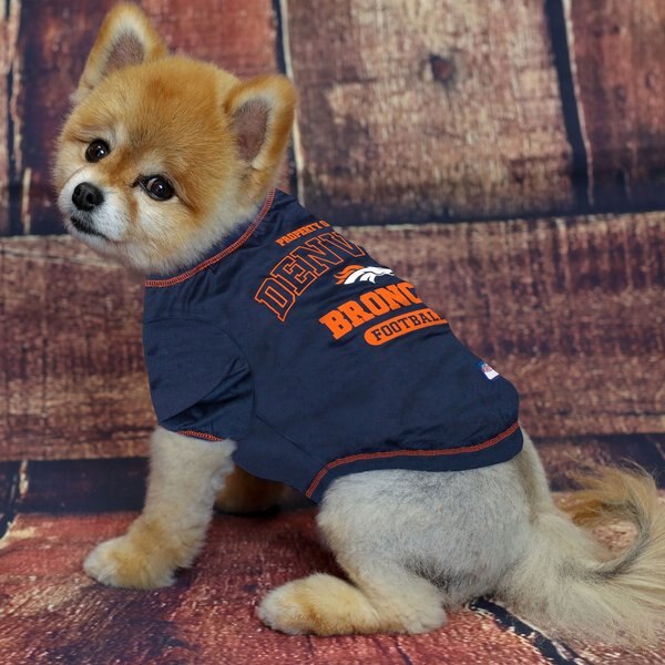 PETS FIRST NFL Dog & Cat T-Shirt, Denver Broncos, Large - Chewy.com