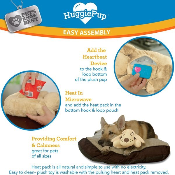PETS KNOW BEST HuggiePup Plush Dog Toy, Chocolate - Chewy.com