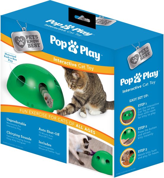 PETS KNOW BEST Pop N Play Interactive Cat Motion Toy, Green - Chewy.com