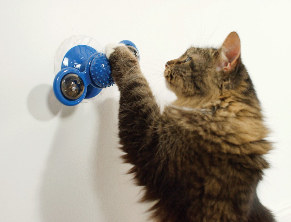 Discontinued - PETS KNOW BEST Purrfect Spinner Cat Toy, Blue - Chewy.com