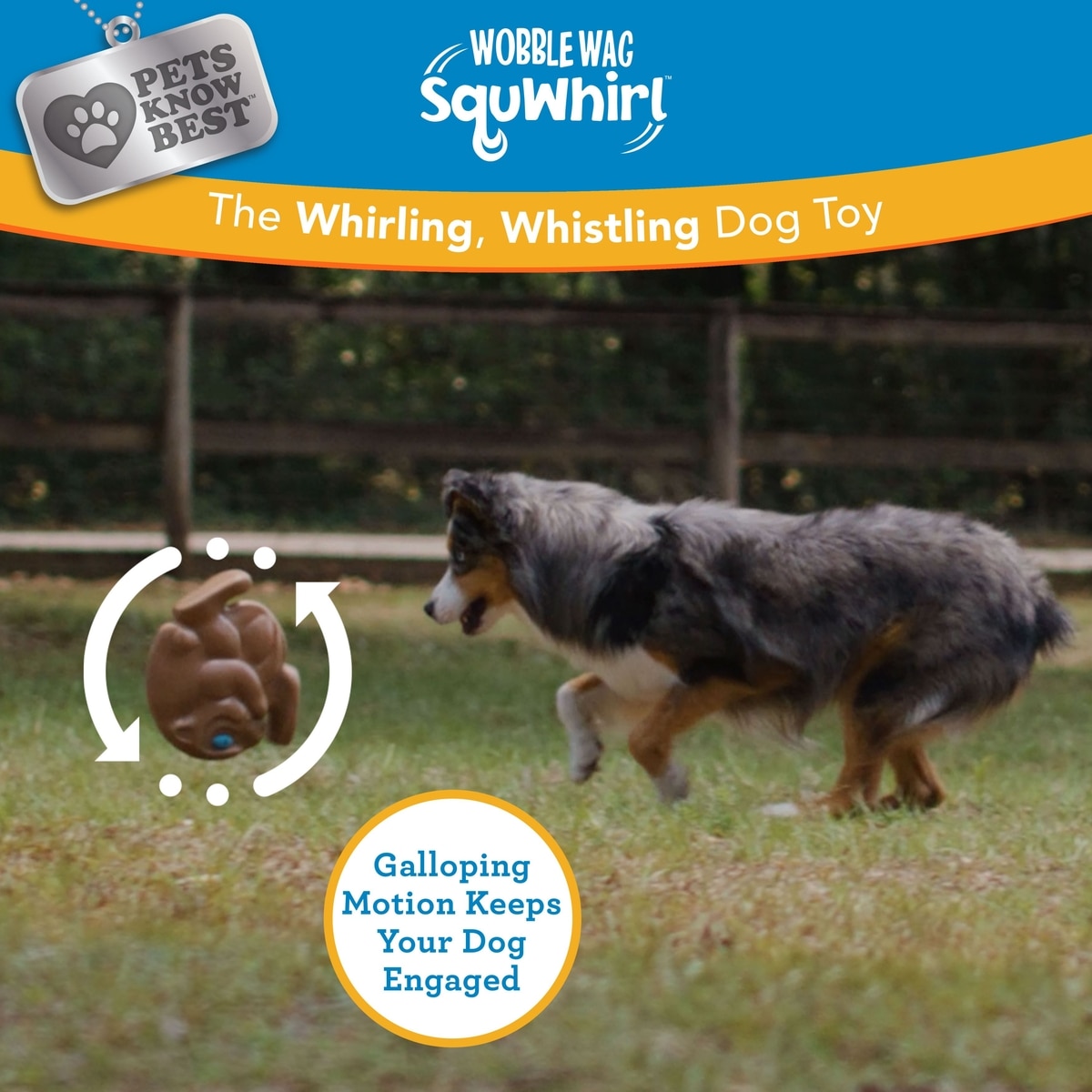 Discontinued - PETS KNOW BEST Wobble Wag Squwhirl Dog Flying-Discs Toy ...