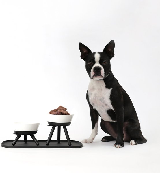 PETS SO GOOD Oreo Table Dog & Cat Bowl, Black & White, Medium - Chewy.com