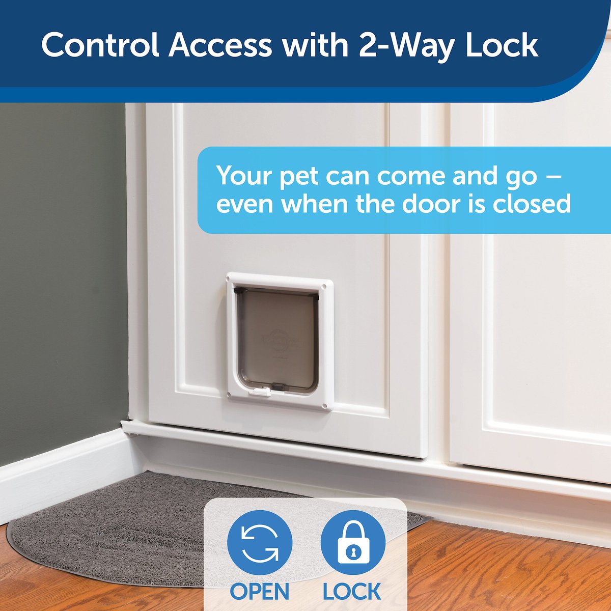 PETSAFE 2-Way Locking Cat Door - Chewy.com