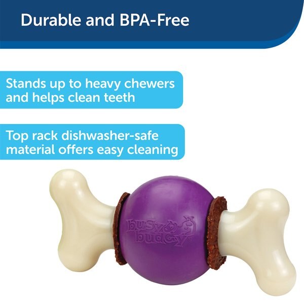 PETSAFE Busy Buddy Bouncy Bone Treat Dispenser Tough Dog Chew Toy ...