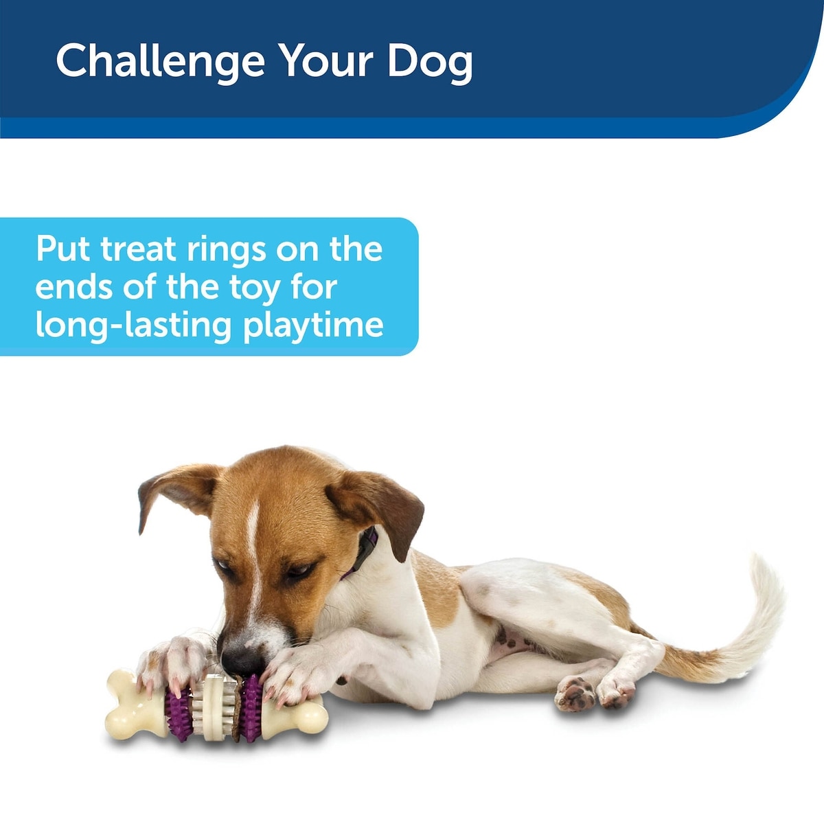 PETSAFE Busy Buddy Bristle Bone Treat Dispenser Tough Dog Chew Toy, X ...