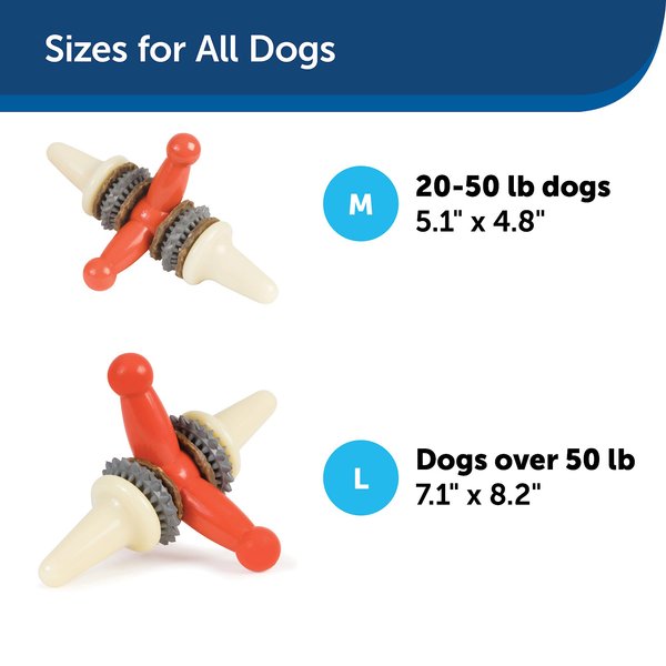 PETSAFE Busy Buddy Jack Treat Dispenser Tough Dog Chew Toy, Large ...