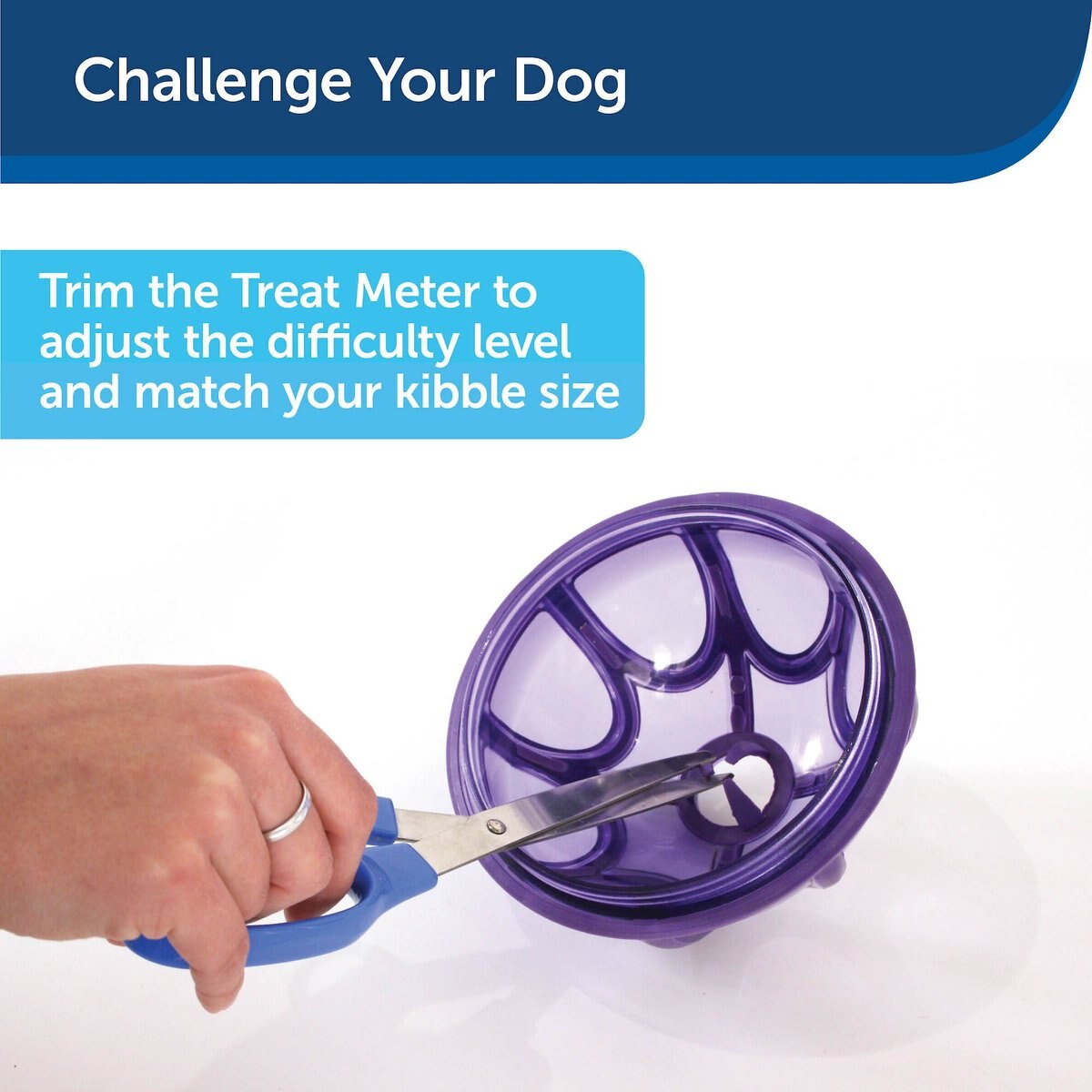 PETSAFE Busy Buddy Kibble Nibble Treat Dispenser Dog Toy, Medium/Large ...