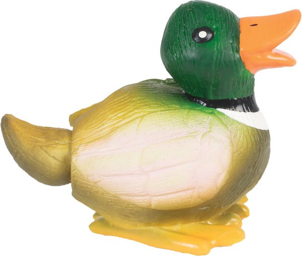 PETSAFE Busy Buddy Latex Meeze Duck Squeaky Dog Toy - Chewy.com