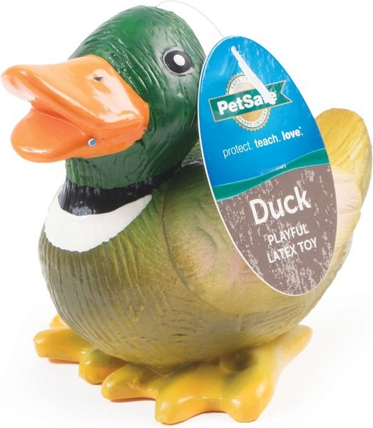 PETSAFE Busy Buddy Latex Meeze Duck Squeaky Dog Toy - Chewy.com