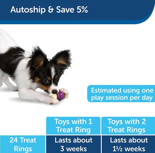 Out of Stock - PETSAFE Busy Buddy Peanut Butter & Rawhide Variety Pack ...