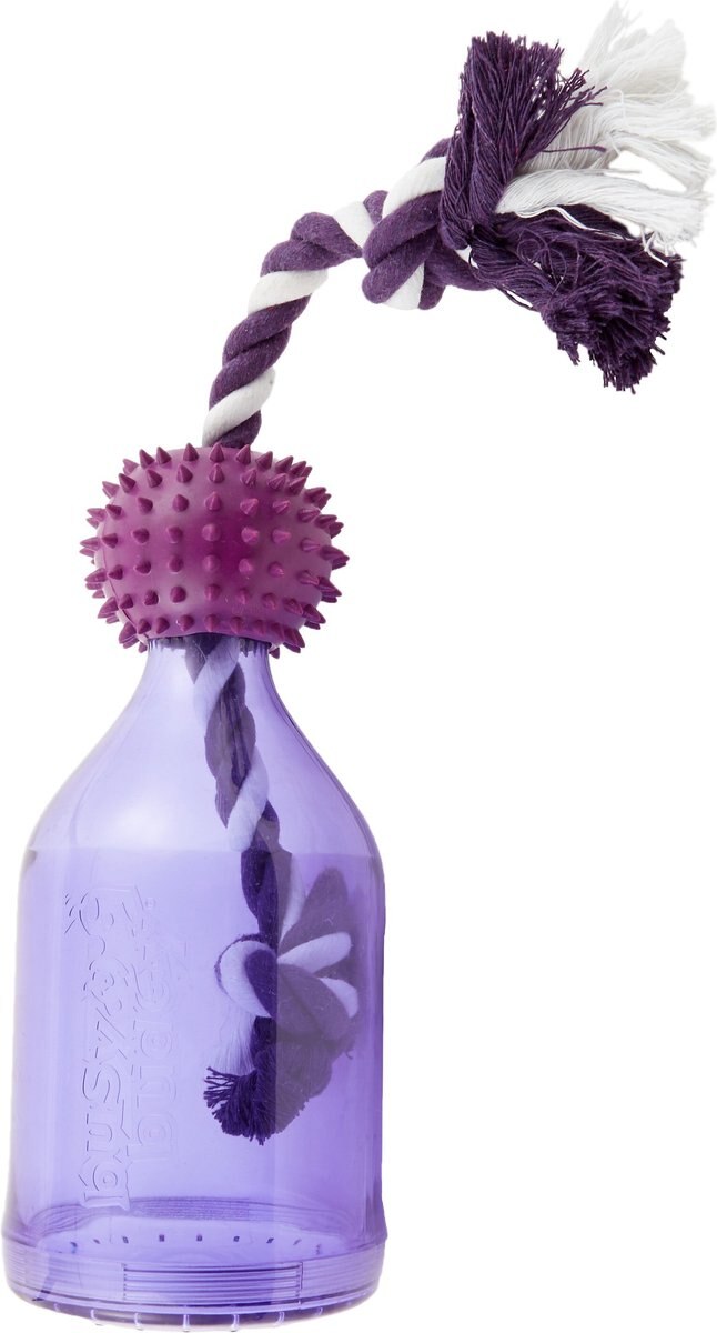 PETSAFE Busy Buddy Tug-A-Jug Treat Dispenser Tough Dog Chew Toy, Medium ...