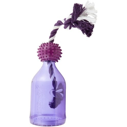 PetSafe Busy Buddy - Free shipping | Chewy