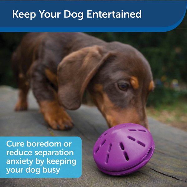 PETSAFE Busy Buddy Twist 'n Treat Treat Dispenser Dog Toy, Large ...