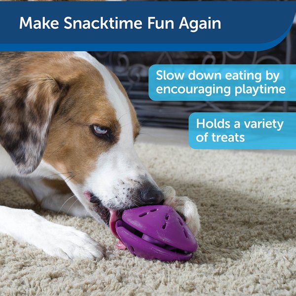 PETSAFE Busy Buddy Twist 'n Treat Treat Dispenser Dog Toy, Large ...