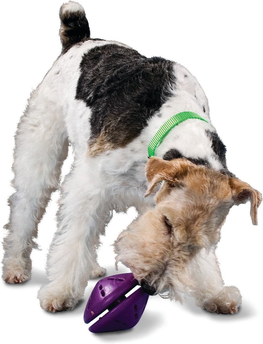 PETSAFE Busy Buddy Twist 'n Treat Treat Dispenser Dog Toy, Medium ...