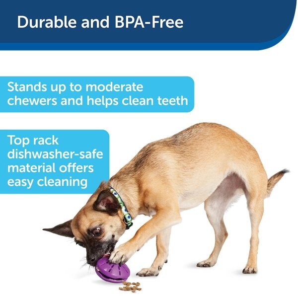 PETSAFE Busy Buddy Twist 'n Treat Treat Dispenser Dog Toy, Medium ...