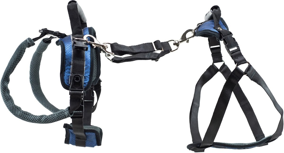 PETSAFE CareLift Handicapped Support Dog Harness, Large - Chewy.com