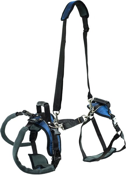 PETSAFE CareLift Handicapped Support Dog Harness, Large - Chewy.com