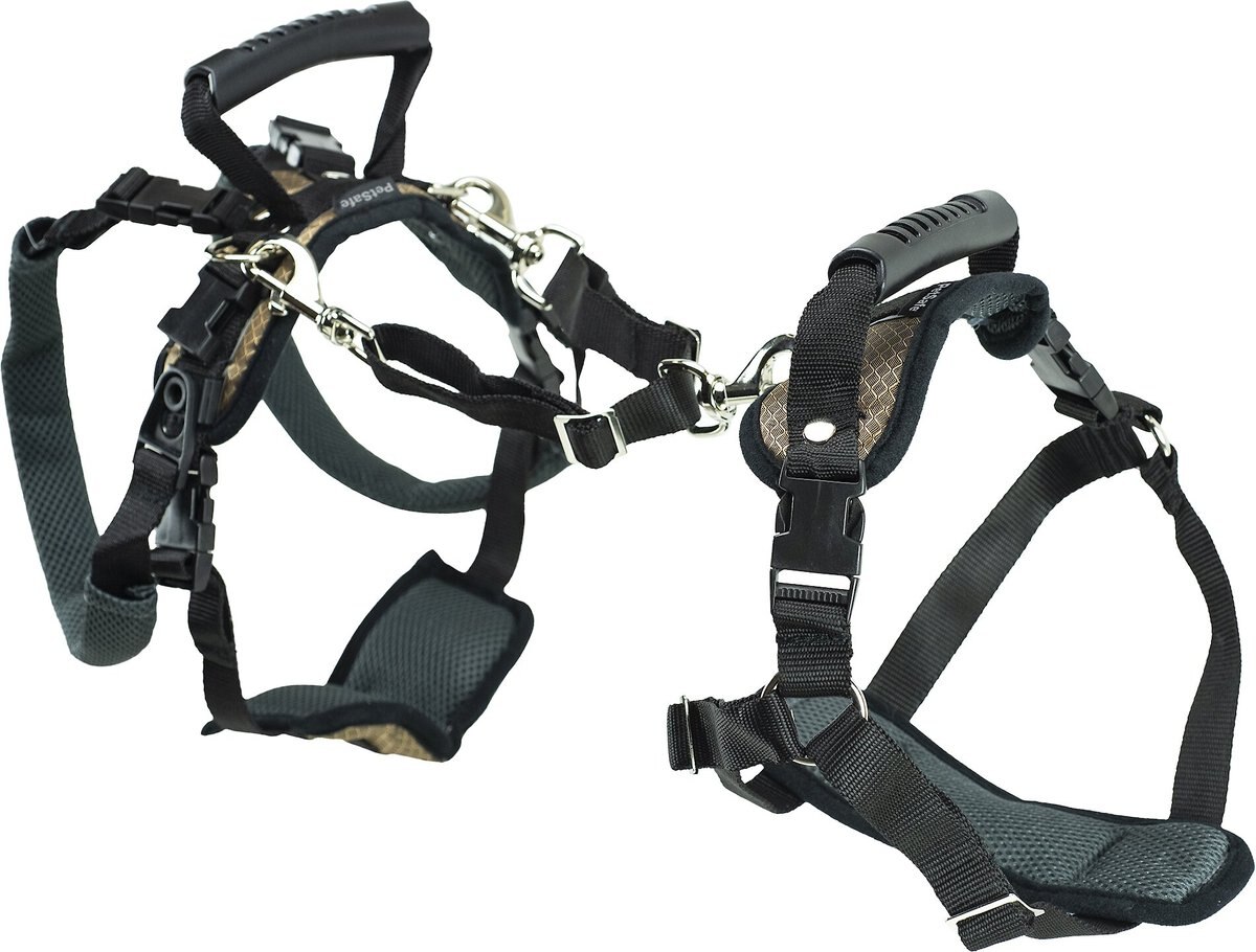 PETSAFE CareLift Handicapped Support Dog Harness, Medium - Chewy.com