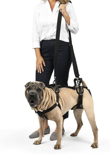 PETSAFE CareLift Handicapped Support Dog Harness, Medium - Chewy.com