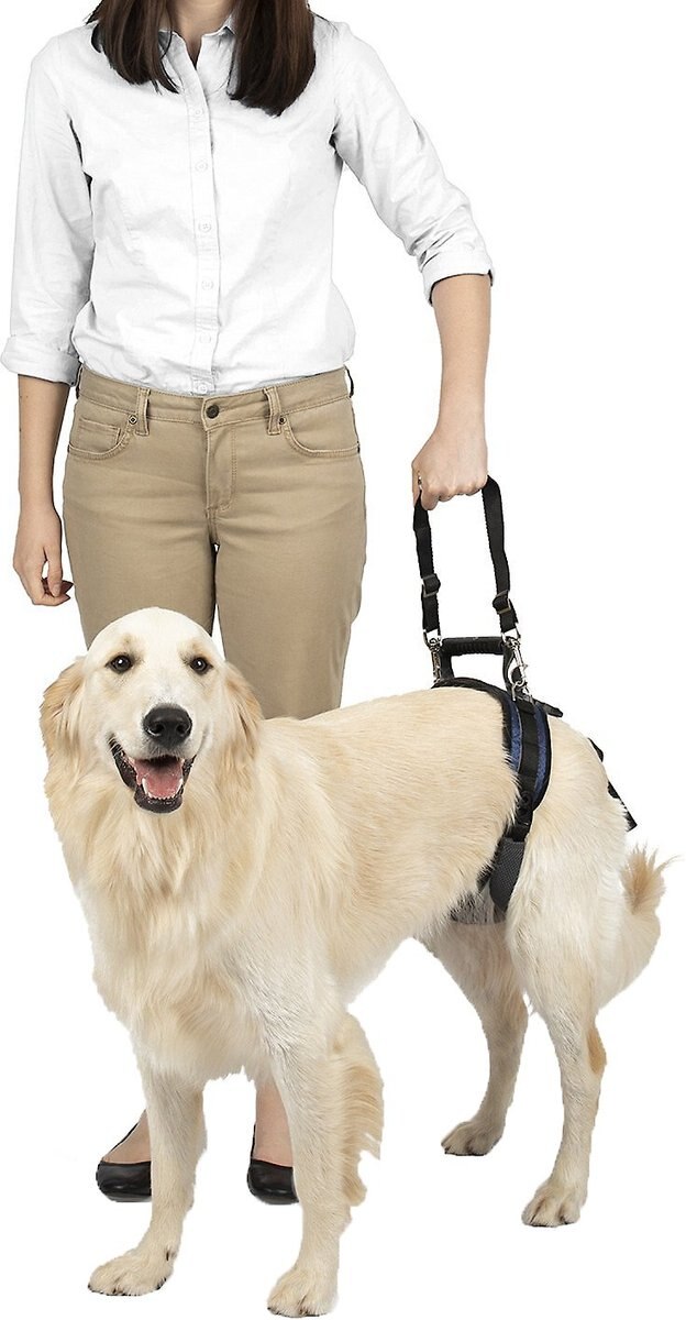 PETSAFE CareLift Rear Handicapped Support Dog Harness, Large - Chewy.com