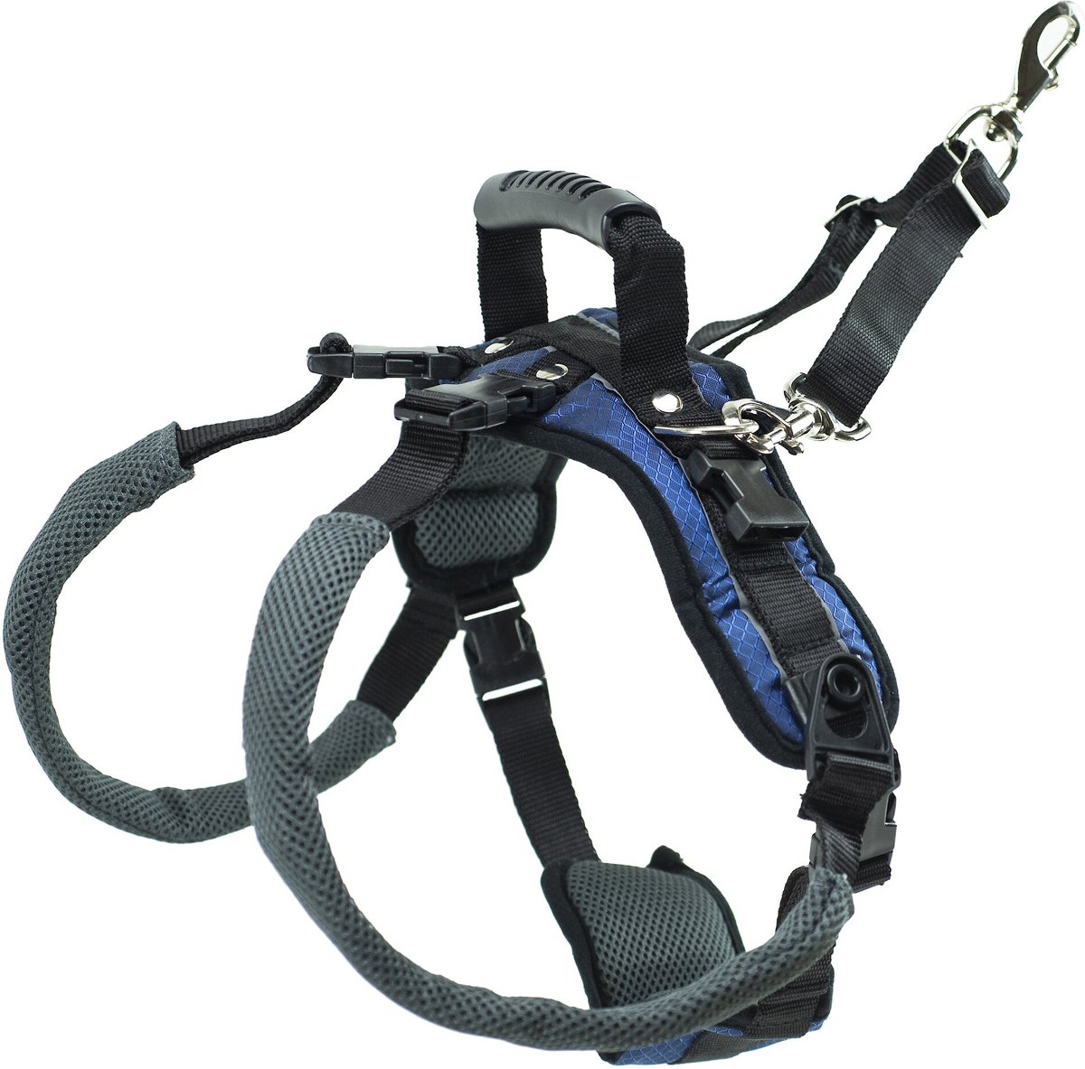 PETSAFE CareLift Rear Handicapped Support Dog Harness, Large - Chewy.com