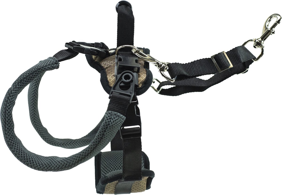 PETSAFE CareLift Rear Handicapped Support Dog Harness, Medium - Chewy.com