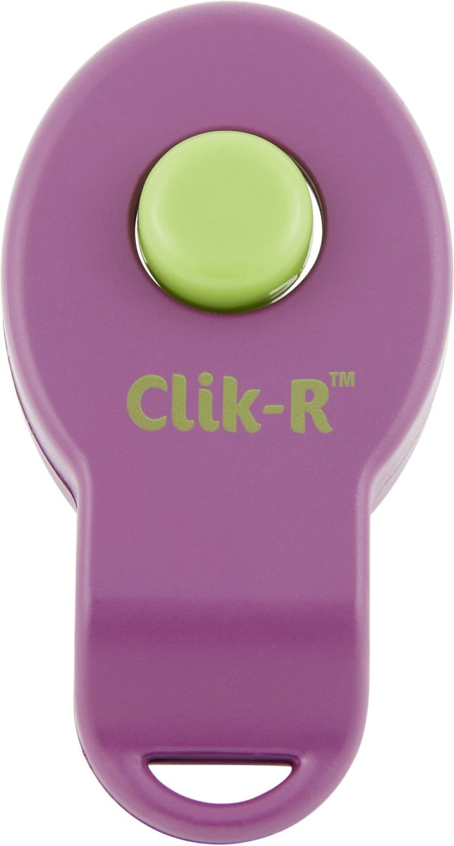 PETSAFE Clik-R Dog Training Tool - Chewy.com