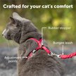 PETSAFE Come with Me Kitty Nylon Cat Harness & Bungee Leash, Dusty Rose ...
